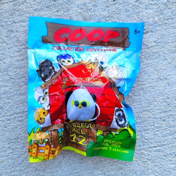 coop collector | Accessories | Coop Collector Keychain Mystery Pack ...